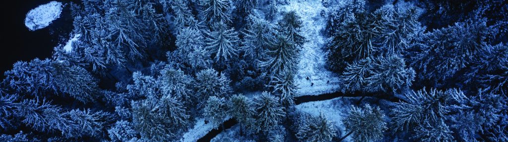 Frozen Path – (3840×1080 and 5120×1440 Wallpaper) | 32:9 Super ...