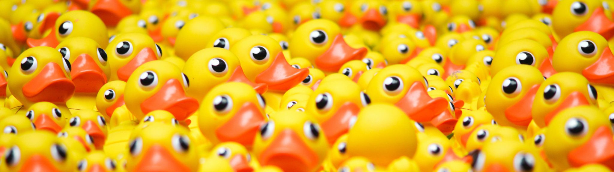 Team of Rubber Ducks – (3840×1080 and 5120×1440 Wallpaper) | 32:9 Super ...
